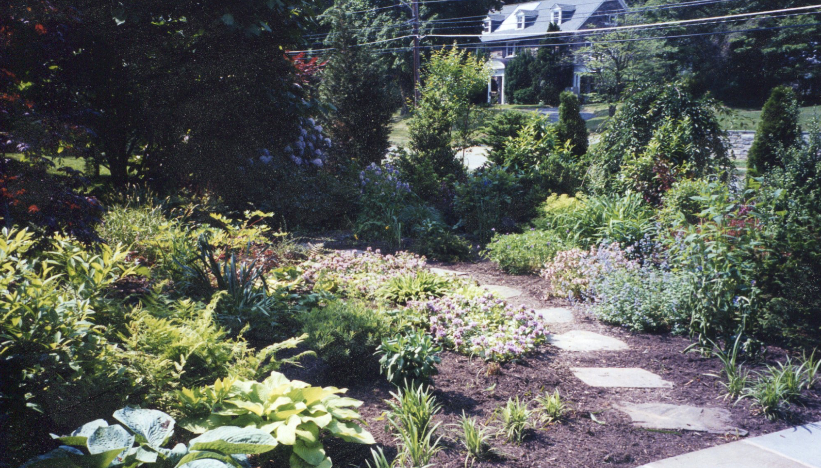 Problems With Standing Water in Your Lawn and Drainage Solutions ...